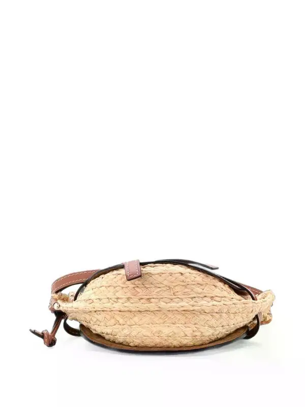 Loewe Gate Leather With Raffia Small Shoulder Bag