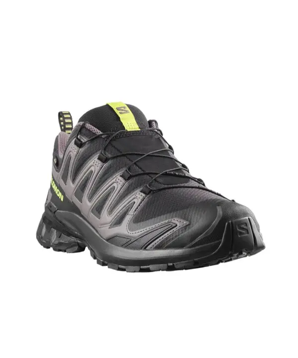 SALOMON Xa Pro 3d V9 Gore-tex