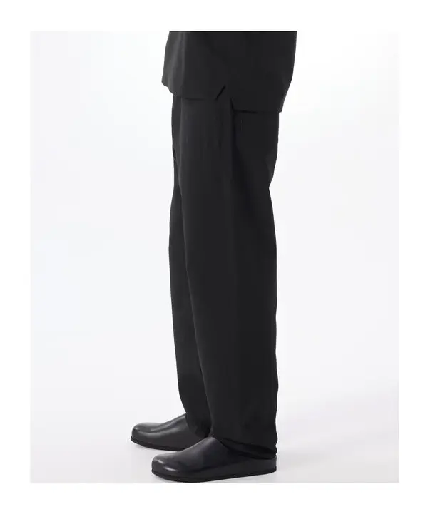 Veilance Saic Pant