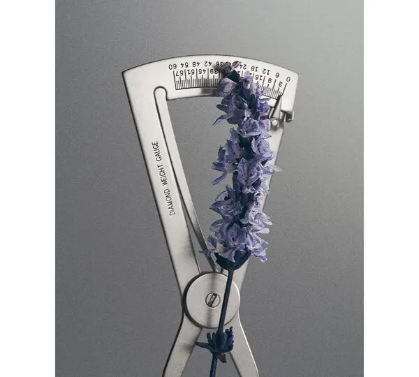 CREED Iris Debonair Eau De Parfum