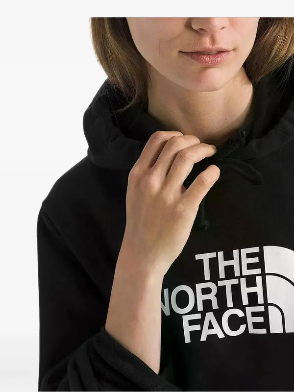 The North Face Evolution Half Dome Hoodie