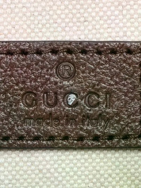 Gucci 2000-2015 Mini Gg Supreme Web Ophidia Backpack