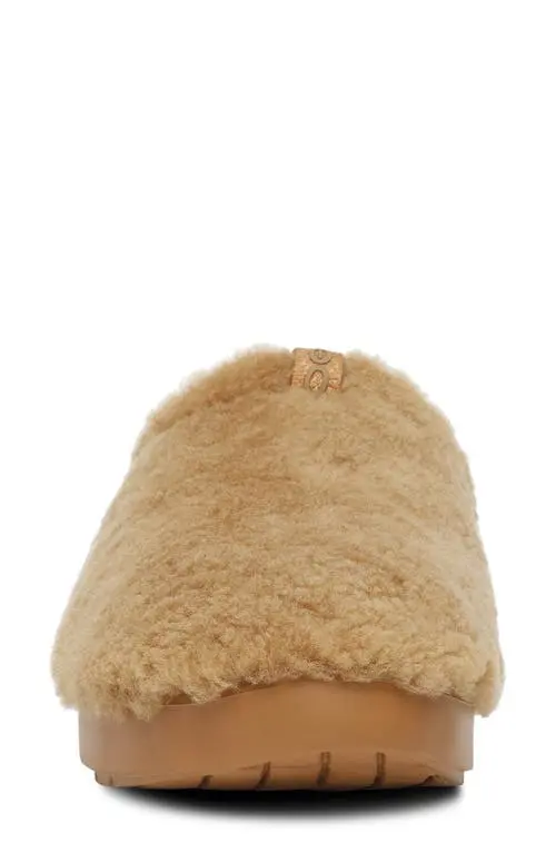 OOFOS Oocoozie Slipper - Cafe Spice
