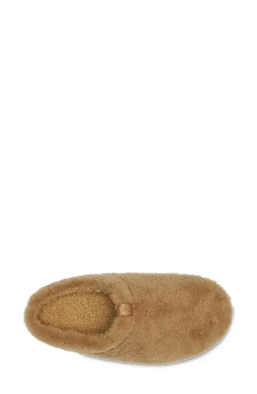 OOFOS Oocoozie Slipper - Cafe Spice