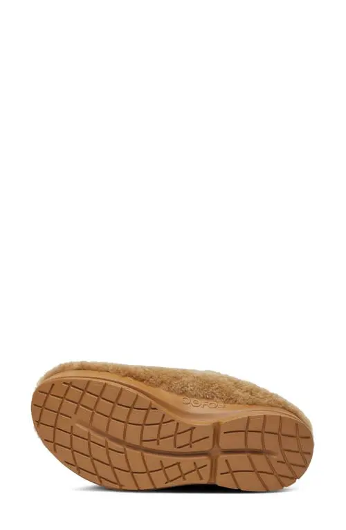 OOFOS Oocoozie Slipper - Cafe Spice