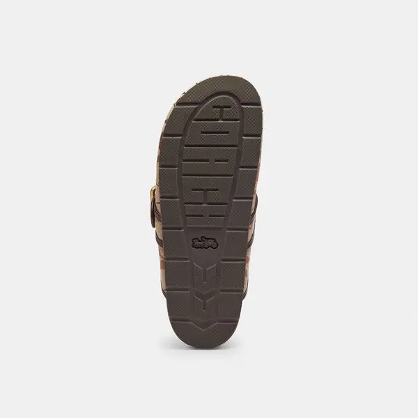 COACH Archival Buckle Clog With Signature Sateen Jacquard