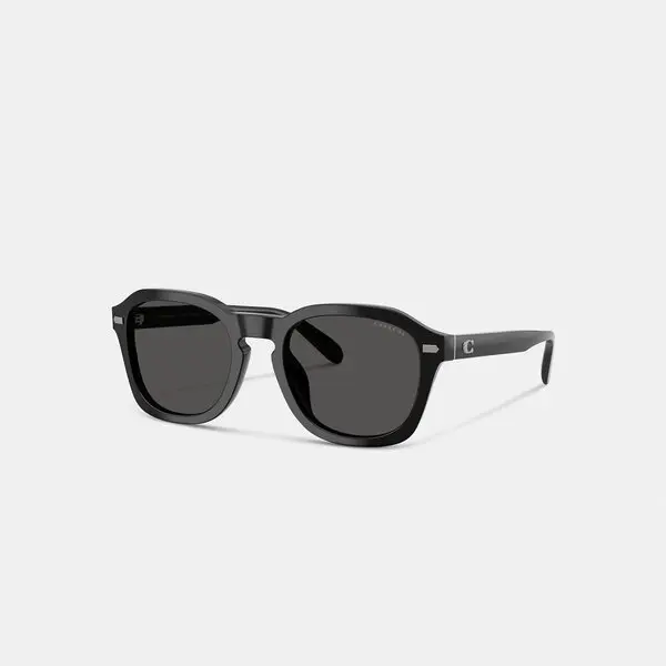 COACH C Hardware Round Sunglasses - Black