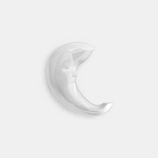 COACH Moon Brooch - Silver