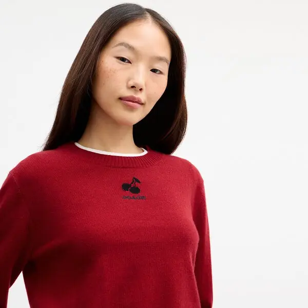 COACH OUTLET Mini Intarsia Crewneck Sweater