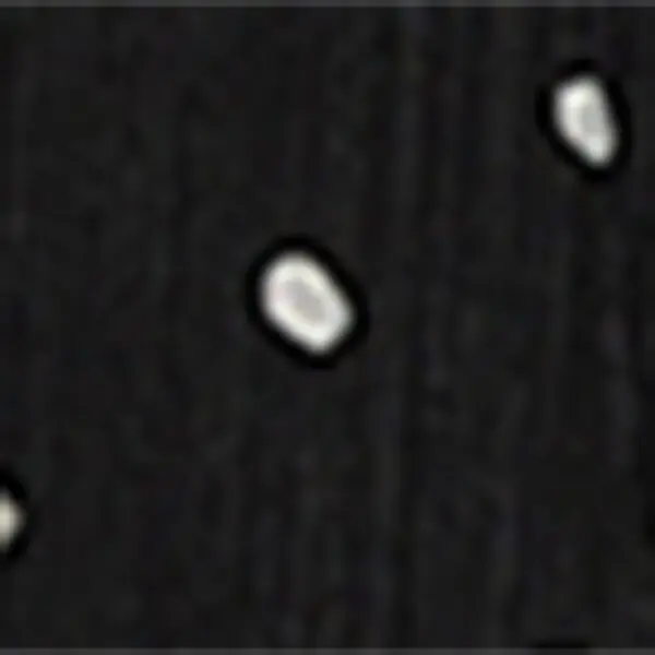 Marella Polka-dot Maxi Skirt