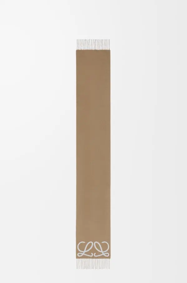 Loewe Scarf In Silk And Cashmere - Beige/light Blue