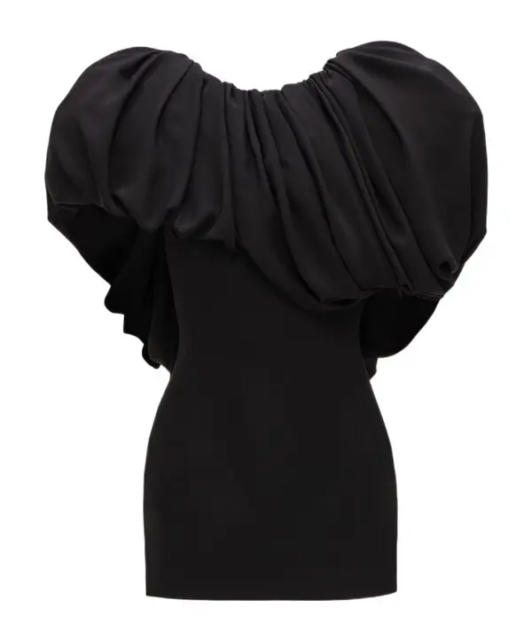 Magda Butrym Puff Collar Mini Dress