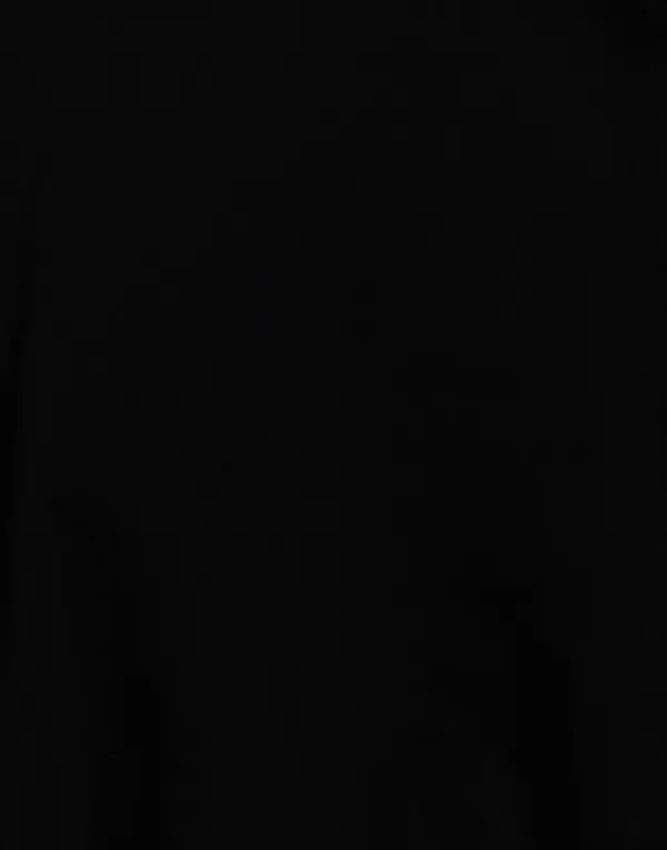 Sportmax Solid-color V-neck Long-sleeve Sweatshirt - Black