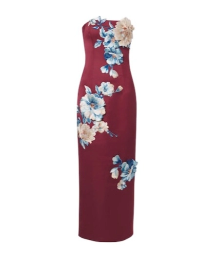 LEO Rayna Floral-appliqué Bustier Dress - Red