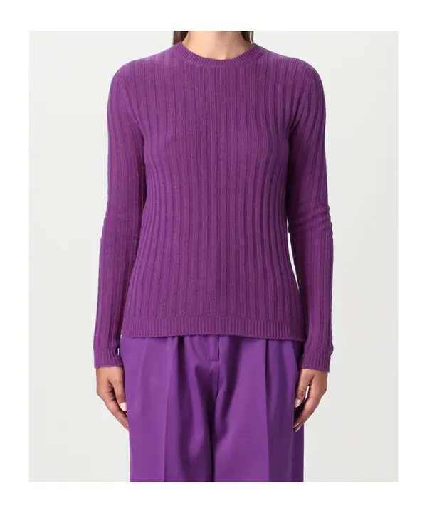 Fabiana Filippi Ribbed Knit Sweater