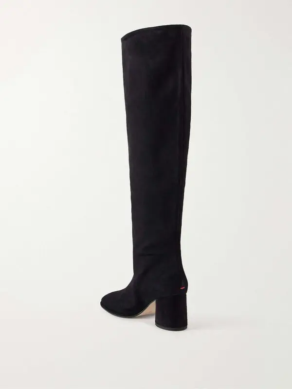 AeydĒ Almut Suede Knee Boots