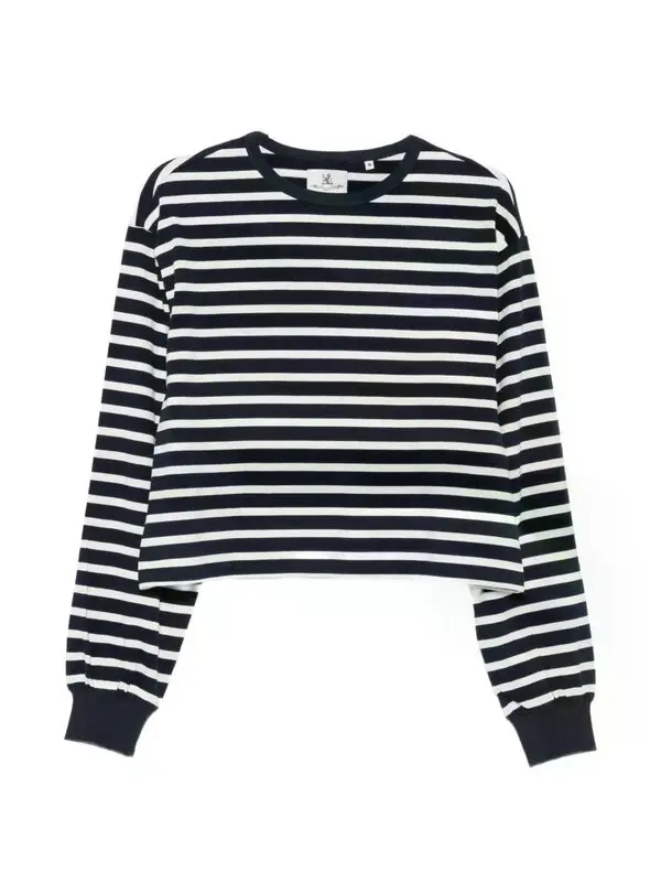 Denimist Striped Cropped Sweater