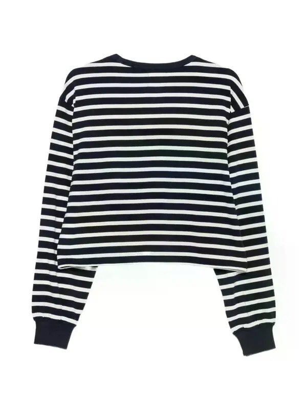 Denimist Striped Cropped Sweater