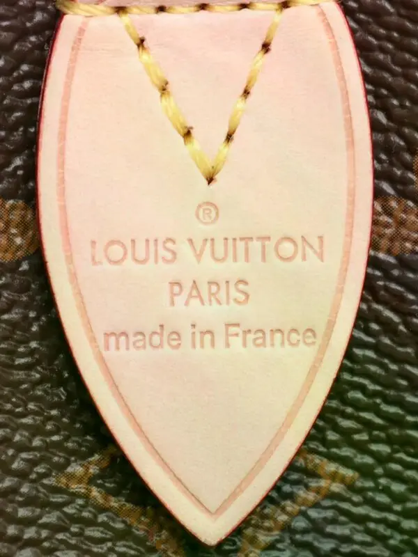 LOUIS VUITTON 2021-2026 Monogram Speedy Bandouliere 20 Satchel
