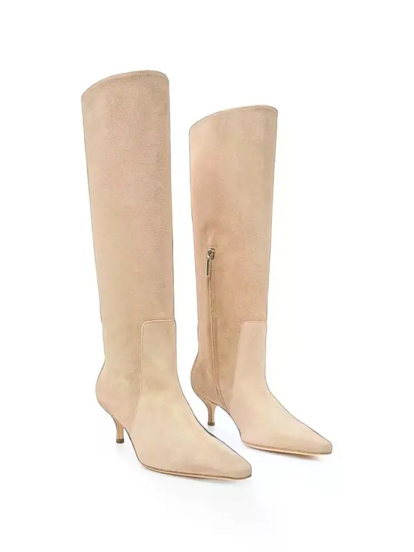 Peserico Pointed-toe Suede Boots