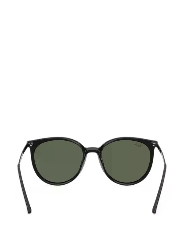 Ray-ban Round-frame Sunglasses