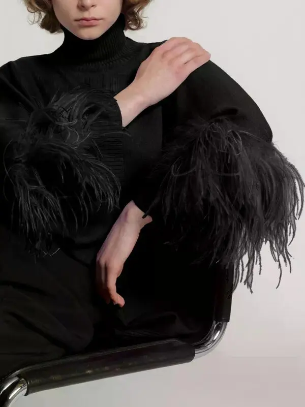Alberta Ferretti Feather-detail Roll-neck Sweater