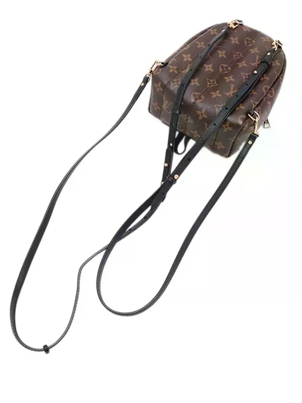 LOUIS VUITTON 2021-2026 Monogram Mini Palm Springs Backpack