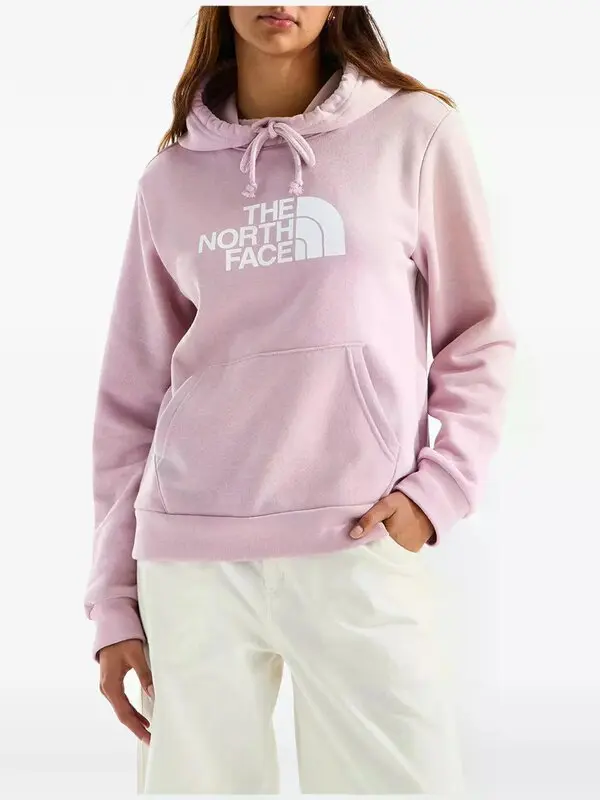 The North Face Evolution Half Dome Hoodie