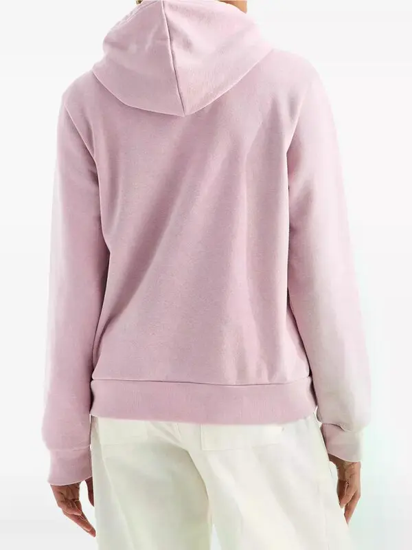 The North Face Evolution Half Dome Hoodie
