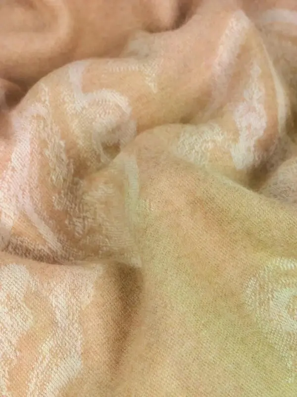 Etro Paisley Jacquard Throw Blanket