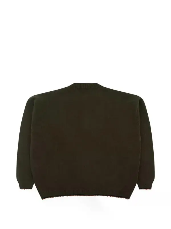 DIOMENE Crew-neck Long-sleeve Sweater - Green