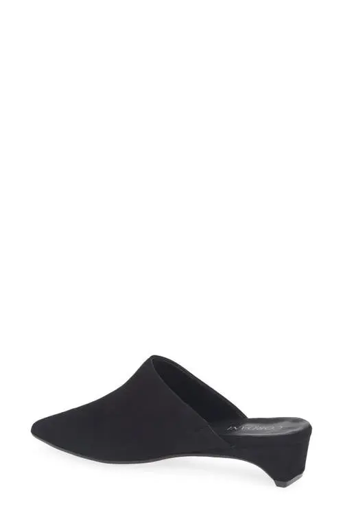Cordani Rowan Suede Kitten Heel Mule - Nero