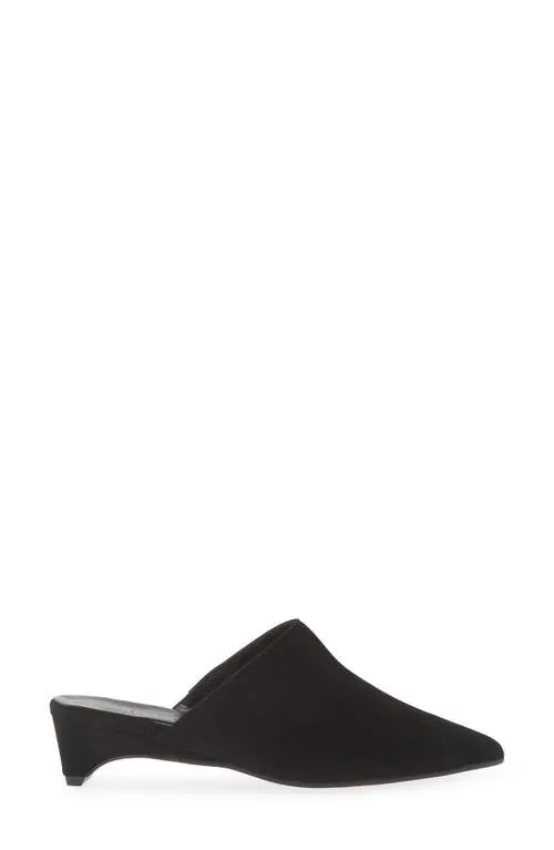 Cordani Rowan Suede Kitten Heel Mule - Nero