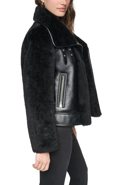 Andrew Marc Kemsley Faux Leather & Faux Shearling Moto Jacket