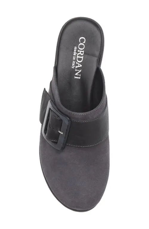Cordani Camryn Buckle Platform Clog - Grigio Suede
