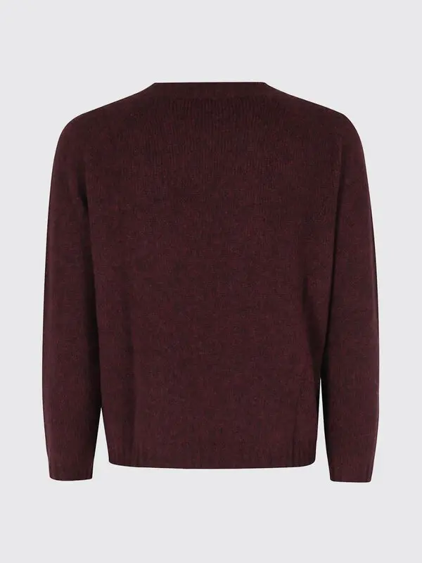 ROBERTO COLLINA Merino Wool And Baby Camel Crew Neck Jumper - Burgundy