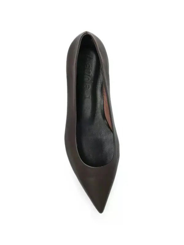 AeydĒ Cassy Pointed-toe Ballet Flats