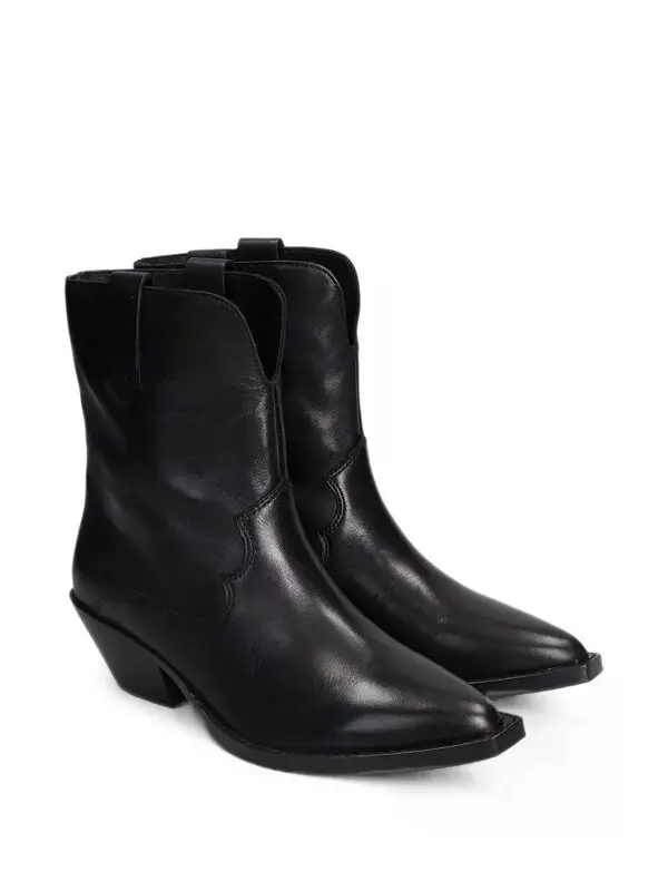 Ash Pointed-toe Leather Cowboy Boots