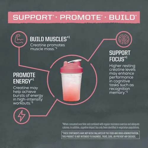 SUNWARRIOR Active Creatine Monohydrate Powder