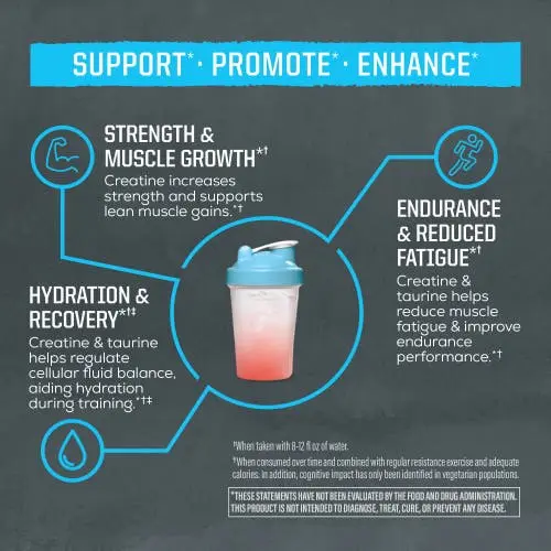SUNWARRIOR Active Creatine + Taurine Powder