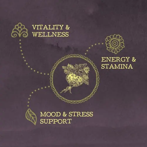SUNWARRIOR Organic Be Well Maca Powder