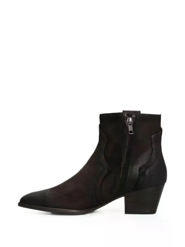 Ash Pointed-toe Leather Cowboy Boots