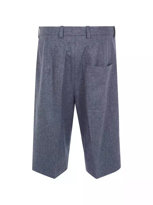 Sofie D'hoore Wool Front-pleat Shorts