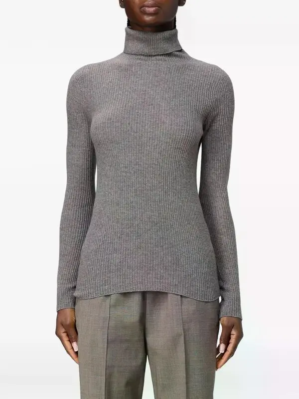 Fabiana Filippi Platinum Ribbed-knit Roll-neck Sweater - Grey