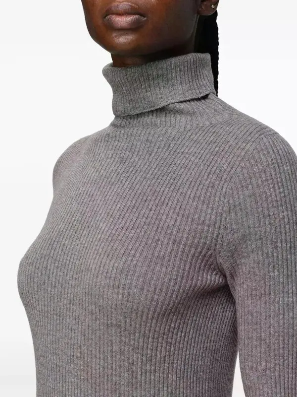 Fabiana Filippi Platinum Ribbed-knit Roll-neck Sweater
