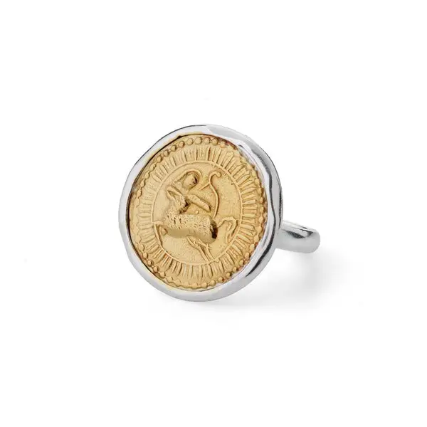 GODDESS CHARMS Sagittarius Zodiac Ring