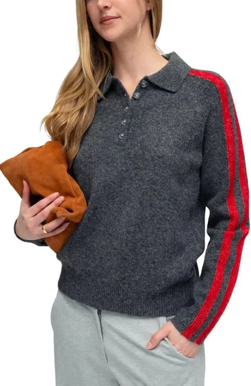 FIND ME NOW Raglan Striped Knit Polo - Charcoal