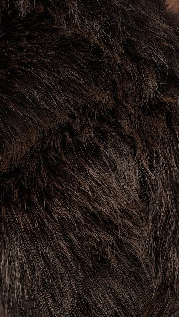 Blanknyc Steady Rise Faux Fur Jacket