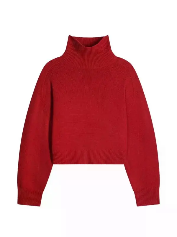 Vanessa Bruno Ballerine Roll-neck Sweater