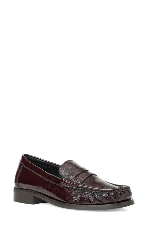 Aquatalia Tabitha Water Repellent Penny Loafer - Brown Naplak